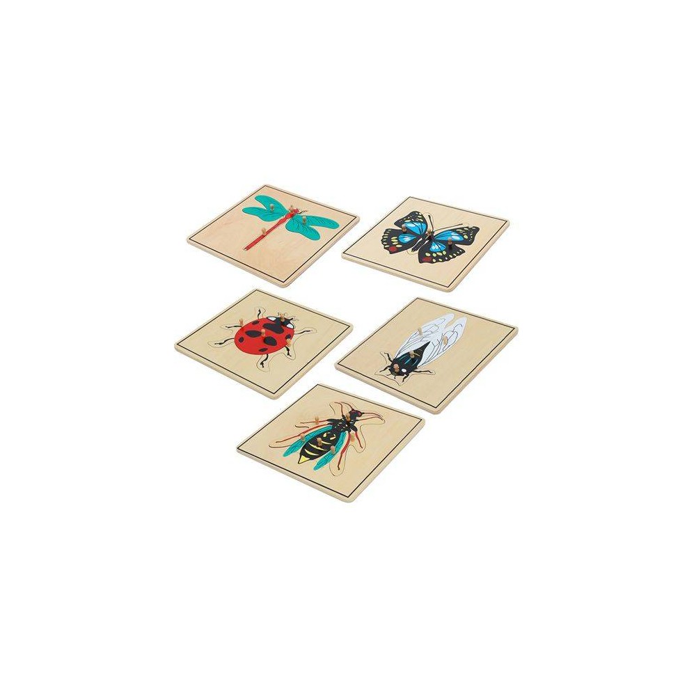 CABINET DE 5 PUZZLES DE ZOOLOGIE(5 puzzles insectes)
